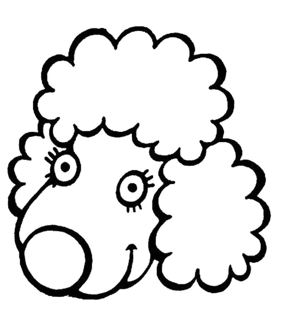 Раскраски баран овечки бараны ягнята